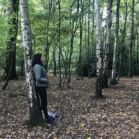 Forest Bathing Highgate Wood 2022 — Hampstead Heath Conservation