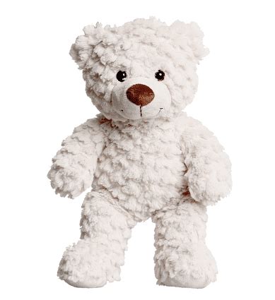 White Teddy Bear Online