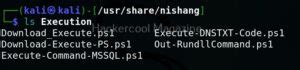 Beginners Guide To Nishang Hackercool Magazine