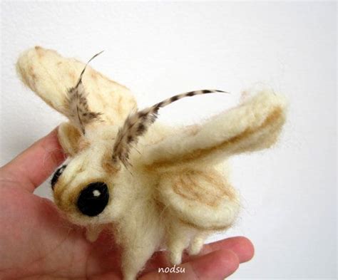 27 Venezuelan Poodle Moth Ideas To Save Today Poodle Moth Venezuelan