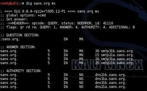 Hack Like A Pro Abusing DNS For Reconnaissance Null Byte