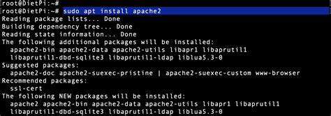 how to set up a web server with nginx or apache on dietpi