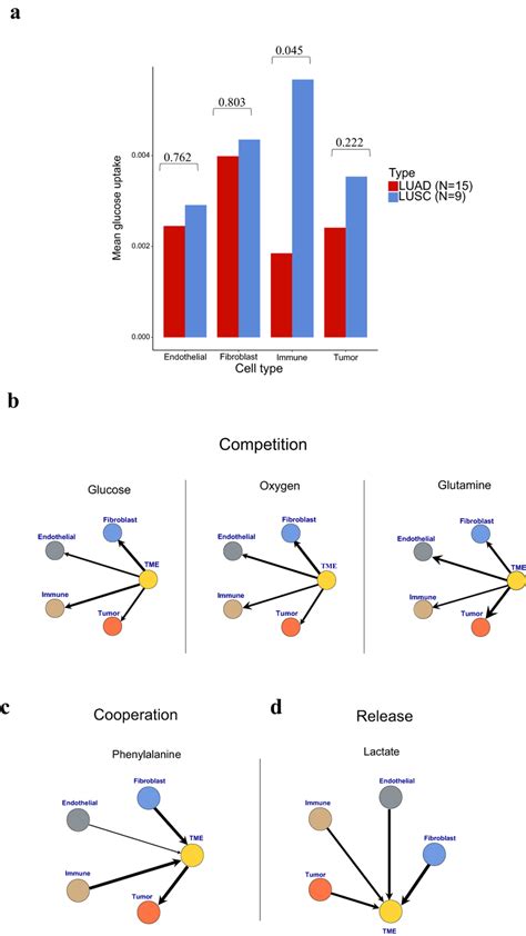Cell Type Metabolic Fluxes And Architypes Identified By Metaflux A