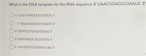 Solved What is the DNA template for the RNA sequence 5' | Chegg.com