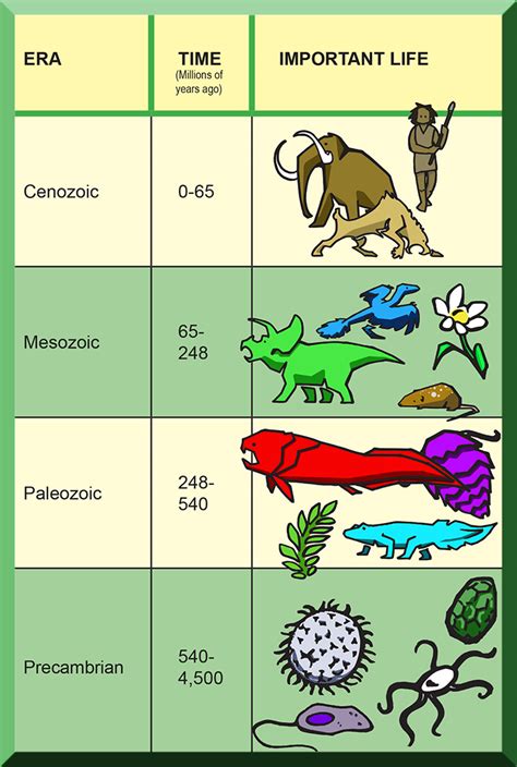 Organisms In The Precambrian Time Peeqt