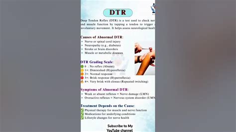 Deep Tendon Reflexes Dtr Are Essential For Assessing The Integrity Of