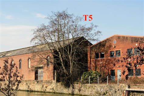 How To Assess The Condition Of A Tree Bristol Tree Forum