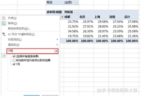 Excel高级技巧解析—数据透视表（数据透视图 切片器 计算字段 条件格式） 知乎