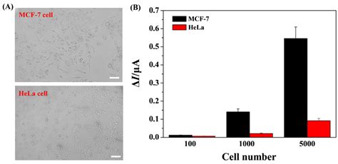 Biosensors Free Full Text Hybridization Chain Reaction Based Electrochemical Biosensors By