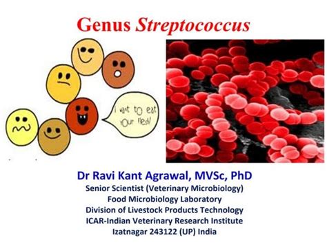Generations Of Antibiotics Ppt