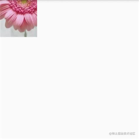 Flutter 中 Image 的使用详解一 Flutter Widgets上篇我们聊了 Image 的 5 种 掘金