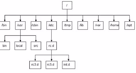 Linux基础linux服务器 Csdn博客