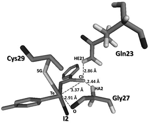 The Coordination Around The Te Atom And The C H Cl Vinyl Interactions