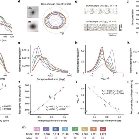 Four Measures Of Hierarchical Processing Applied To The Mouse Visual Download Scientific