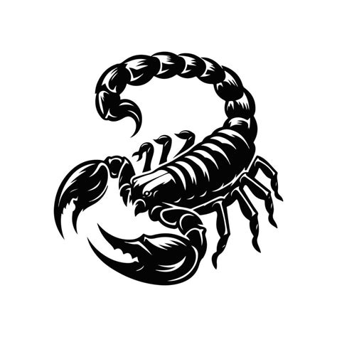 Dibujo De Escorpión 13 Ideas De Scorpio♏ Escorpio Dibujo