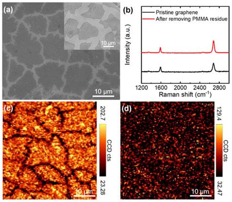 Measurements Of The Electrical Conductivity Of Monolayer Graphene