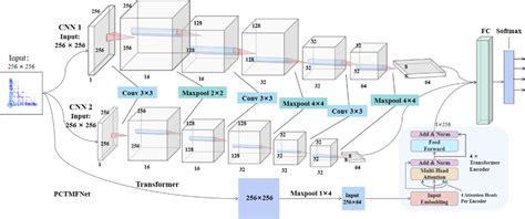 pctmf net consisting of two way parallel cnns module and multi head