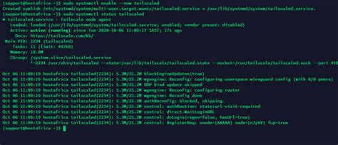 How To Install Tailscale Vpn On Linux And Windows