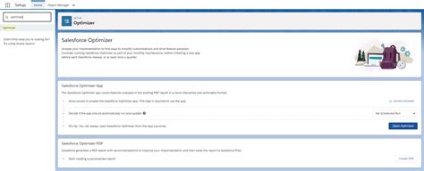 guide to the salesforce optimizer app