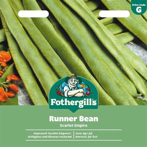 Mr Fothergills Runner Bean Scarlet Empire Stringless Seeds Old
