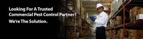 Pest Control Exterminator Near Me Michigan Ohio And Indiana Rose