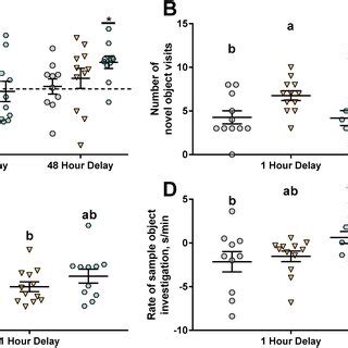 Recognition Memory And Exploratory Behavior During The Novel Object Download Scientific Diagram