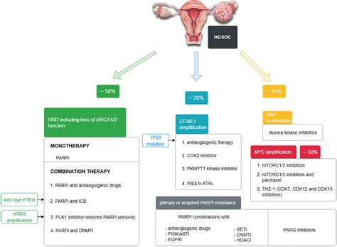 Ovarian Cancer Treatment