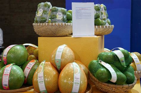 Many Markets Seeking To Import Vietnamese Fruits