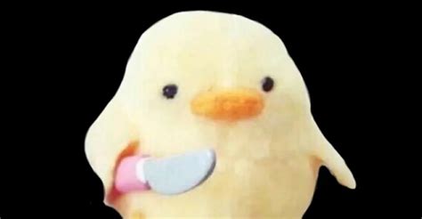 Create Meme Duck With A Knife Duck With A Knife The Duck With A