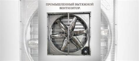 Промышленные вентиляторы для теплиц, ферм, майнинг купить в Майкопе ...