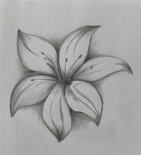 Dibujos Aesthetics