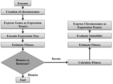 Schematic Diagram Of Gep Algorithm Download Scientific Diagram