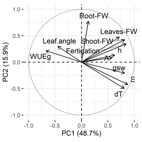 Variable Correlation And Representation Projection Of Input