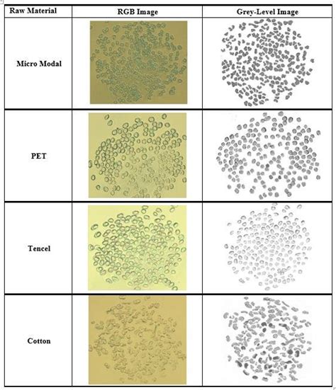 Cross Section Views Of Single Ply Yarns Download Scientific Diagram