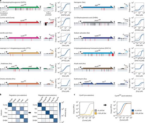 Improved Sensor Performance A The Genetic Design Of Each Sensor Is