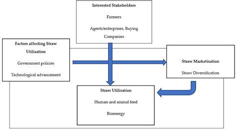 Shows Relationship Between Different Variables In The Study Download