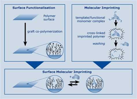 Molecular Surface Imprinting Polyan