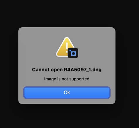 Photo Ai Cant Open Dng File Create By Adobe Dng Converted Bugs And