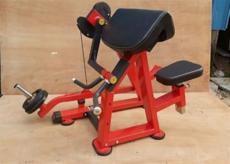 Bicep Curl Machine For Gym At Rs 23500 In Ahmedabad ID 22743012291