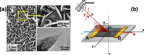 Polarization Sensitive Photoresponse Of Nanographite Applied Physics