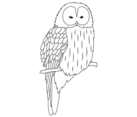 Черно белый рисунок птицы с совой на ветке Премиум векторы