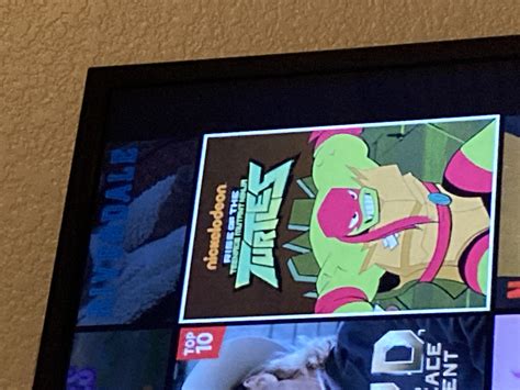 Gonna Watch Rtmnt For The First Time Fandom