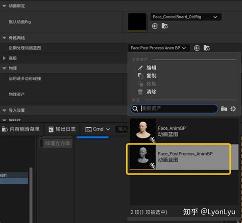Metahuman自定义脸型 知乎