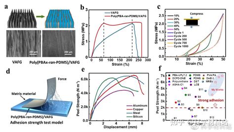 封伟教授，as观点：黏弹性聚合物基智能导热复合材料 知乎