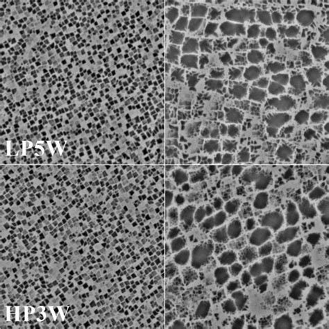 Morphology Of The Secondary γ′ Precipitates In Dendritic Region And Download Scientific Diagram