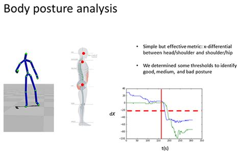 Fit Turtle Posture Robot