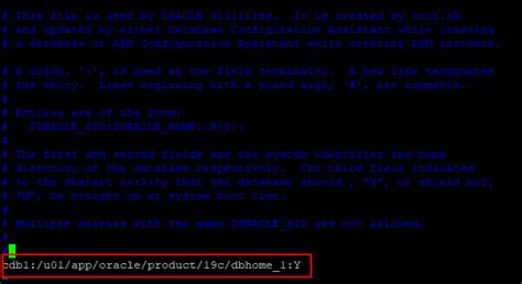 Installing Oracle Database 19c On Oracle Linux 8 Rishoradevs Oracle