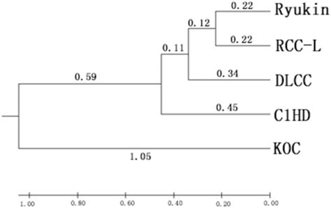 Neis Unbiased Genetic Distance Upgma Clustering Tree For The Five
