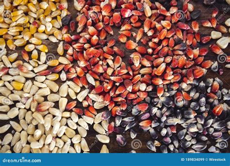 Closeup Of Different Types Of Corn Kernels On A Wooden Table Under The