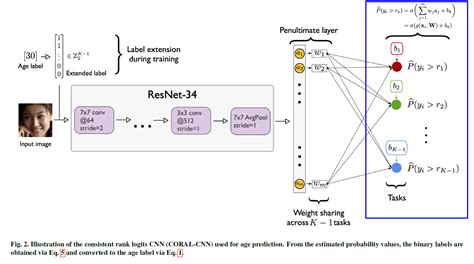 Paper Rank Consistent Ordinal Regression For Neural Networks With